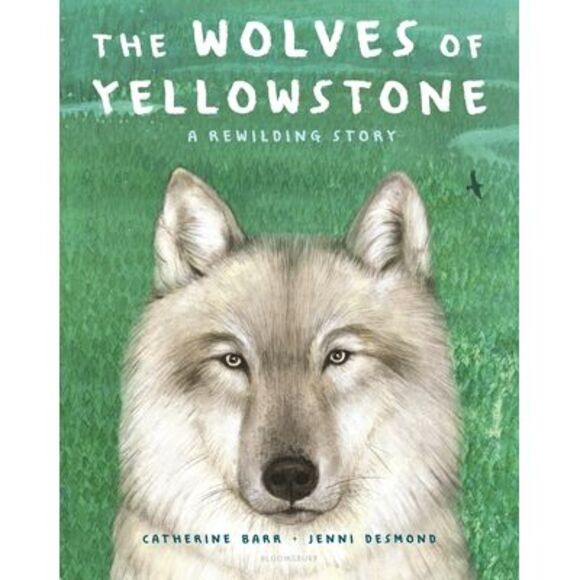 Catherine Barr | Other | The Wolves Of Yellowstone A Rewilding Story ...